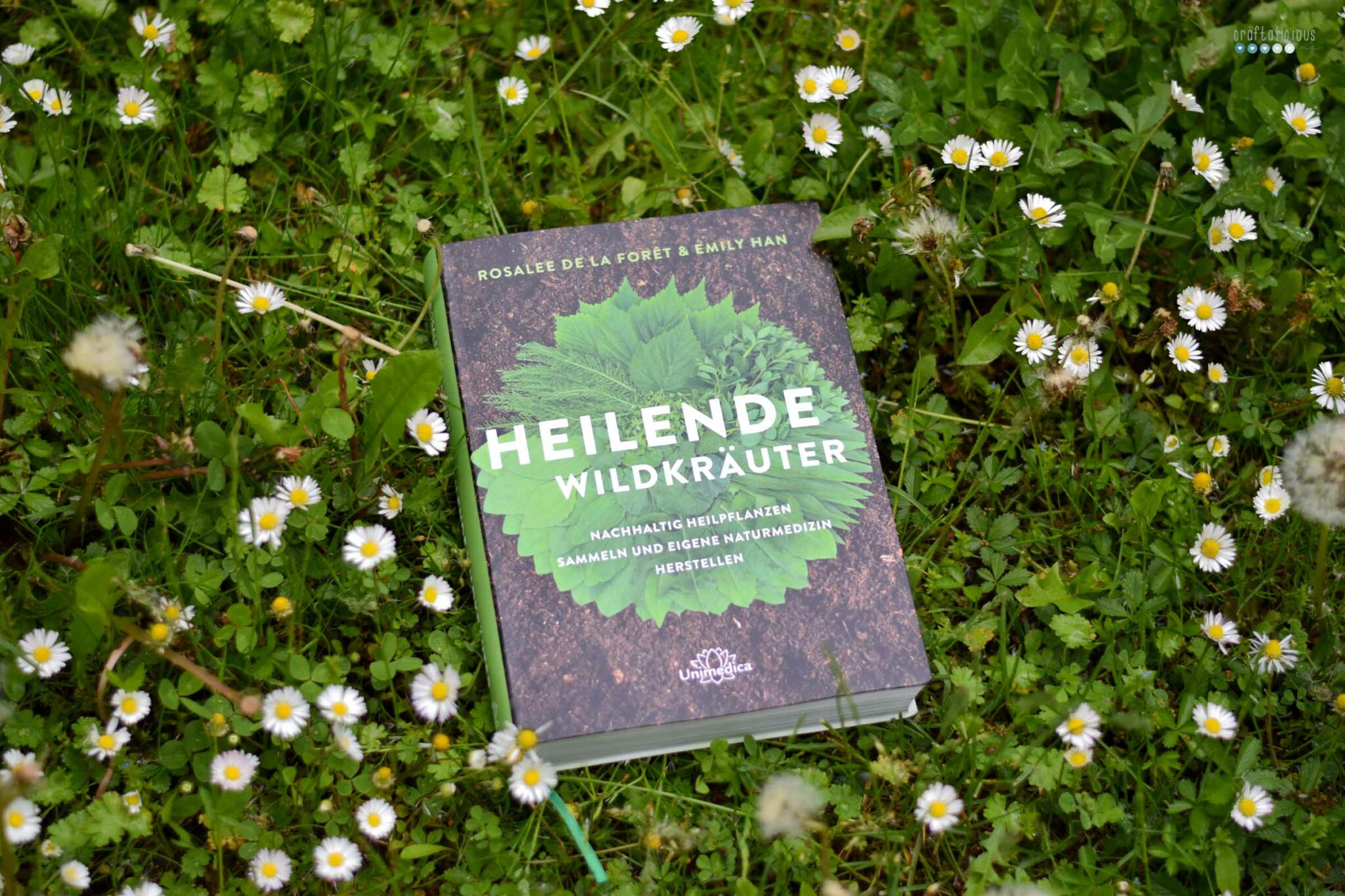 Gathering herbs and wild remedies – Getting started – craftaliciousme