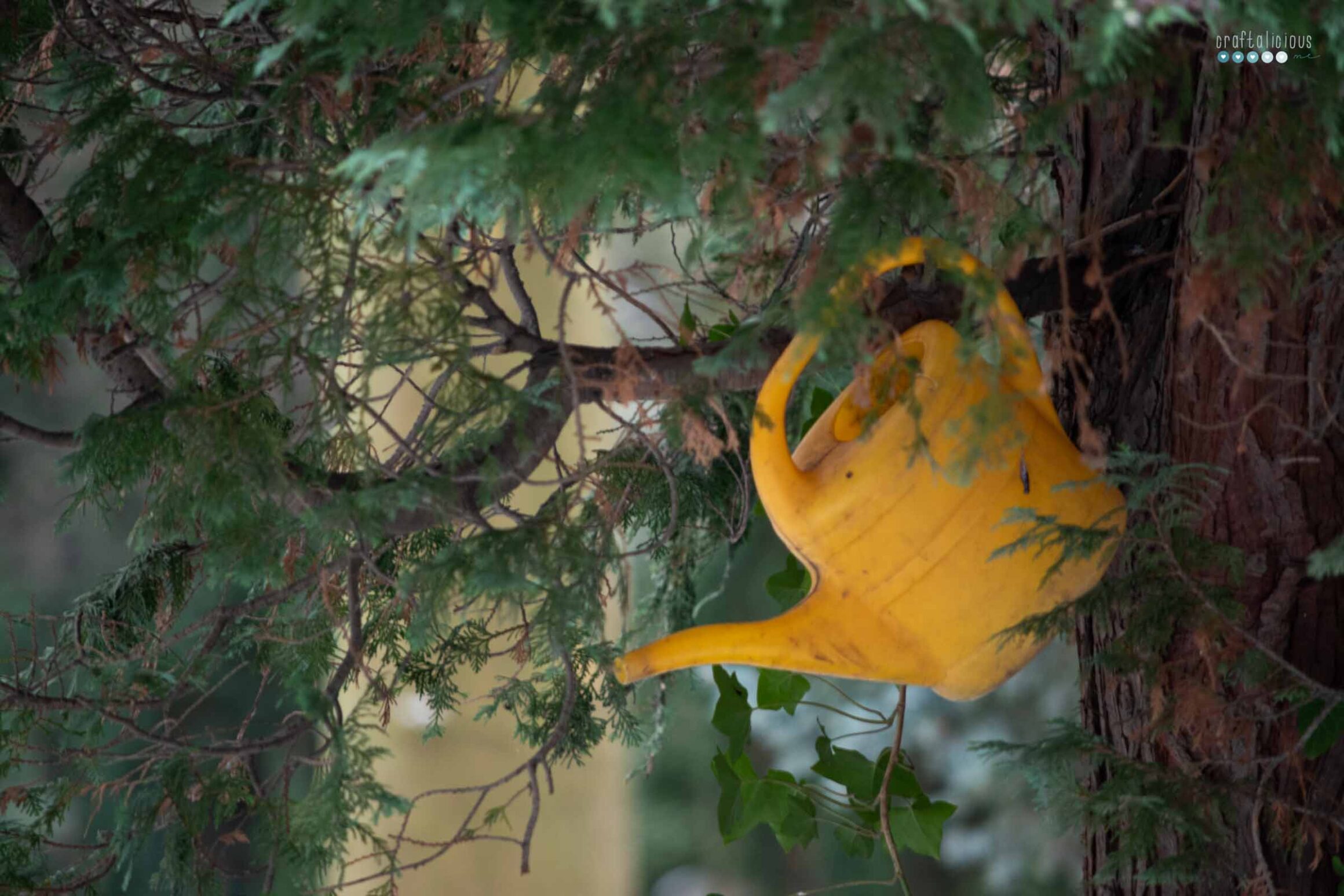YELLOW – Spotted Photo Challenge – craftaliciousme